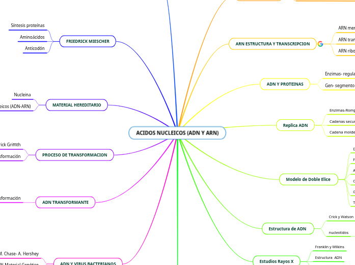 ACIDOS NUCLEICOS (ADN Y ARN) - Mind Map